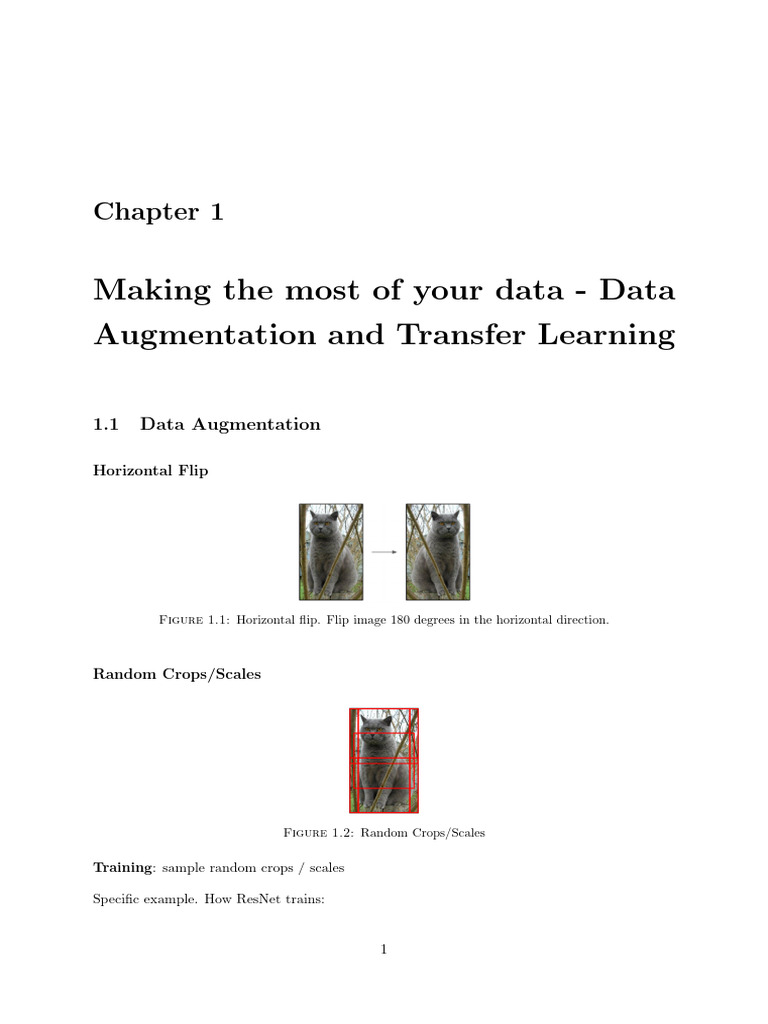 Data Aug Trans | PDF | Computational Neuroscience | Machine Learning