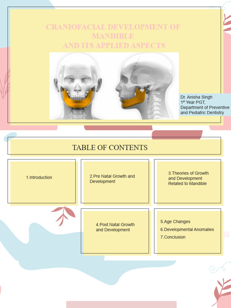 Development Mandible Anisha | PDF | Human Head And Neck | Skeletal System