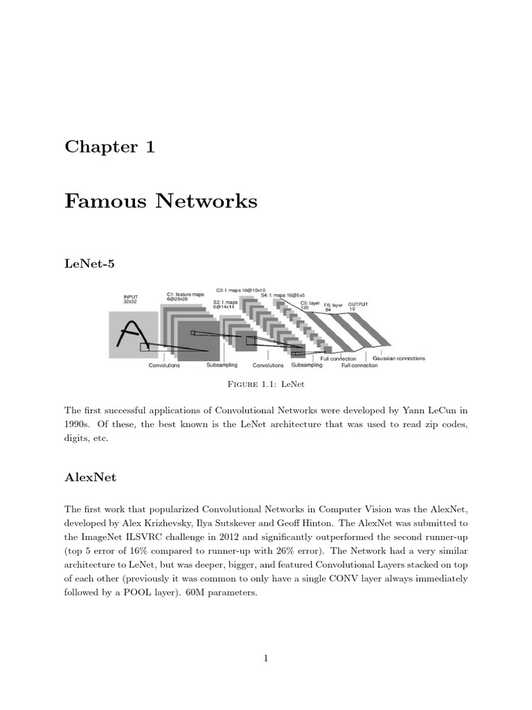 Famous Networks | PDF | Computing | Computational Neuroscience