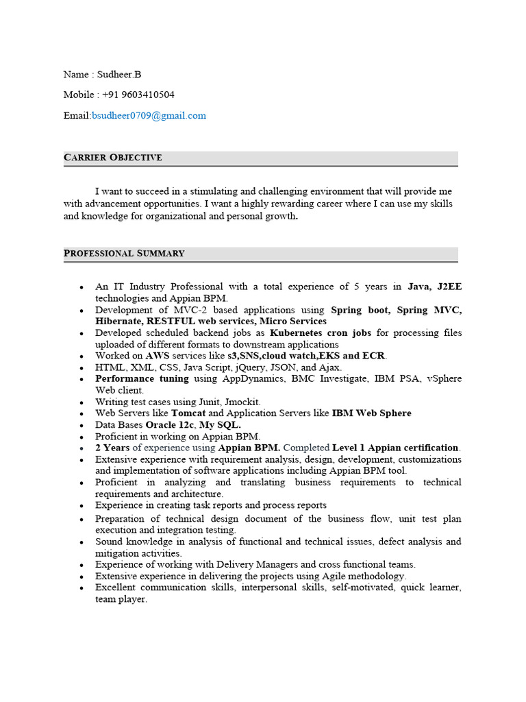 Java.Resume | PDF | Business Process Management | Java (Programming ... Java.Resume | PDF | Business Process Management | Java (Programming ...