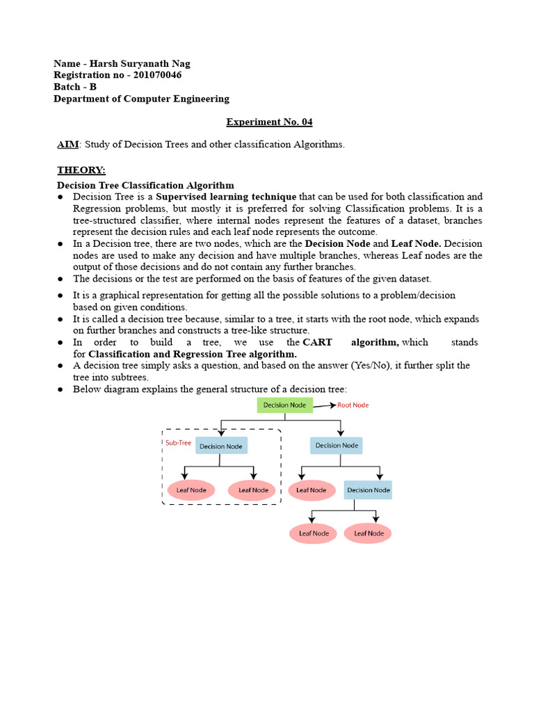 DMDW 04 | PDF | Theoretical Computer Science | Artificial Intelligence