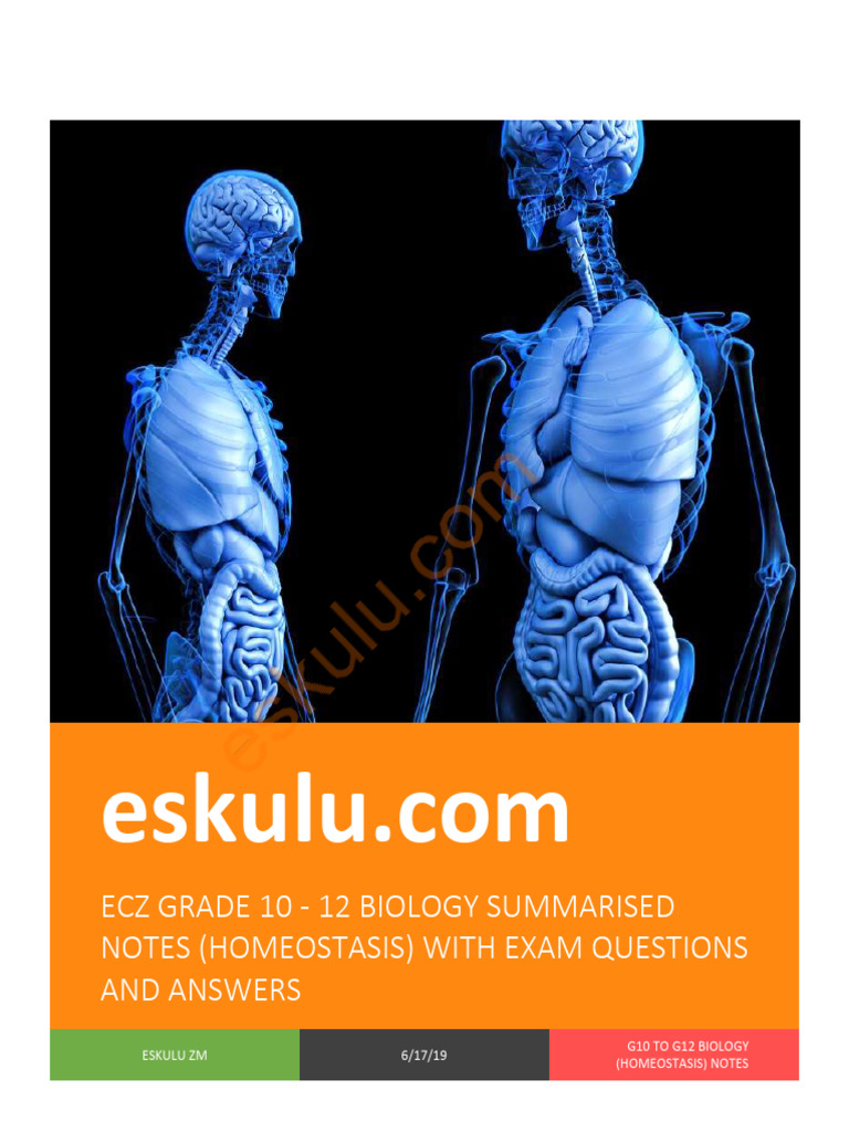 Grade 10 12 Biology Revision Notes Homeostasis | PDF | Skin | Homeostasis