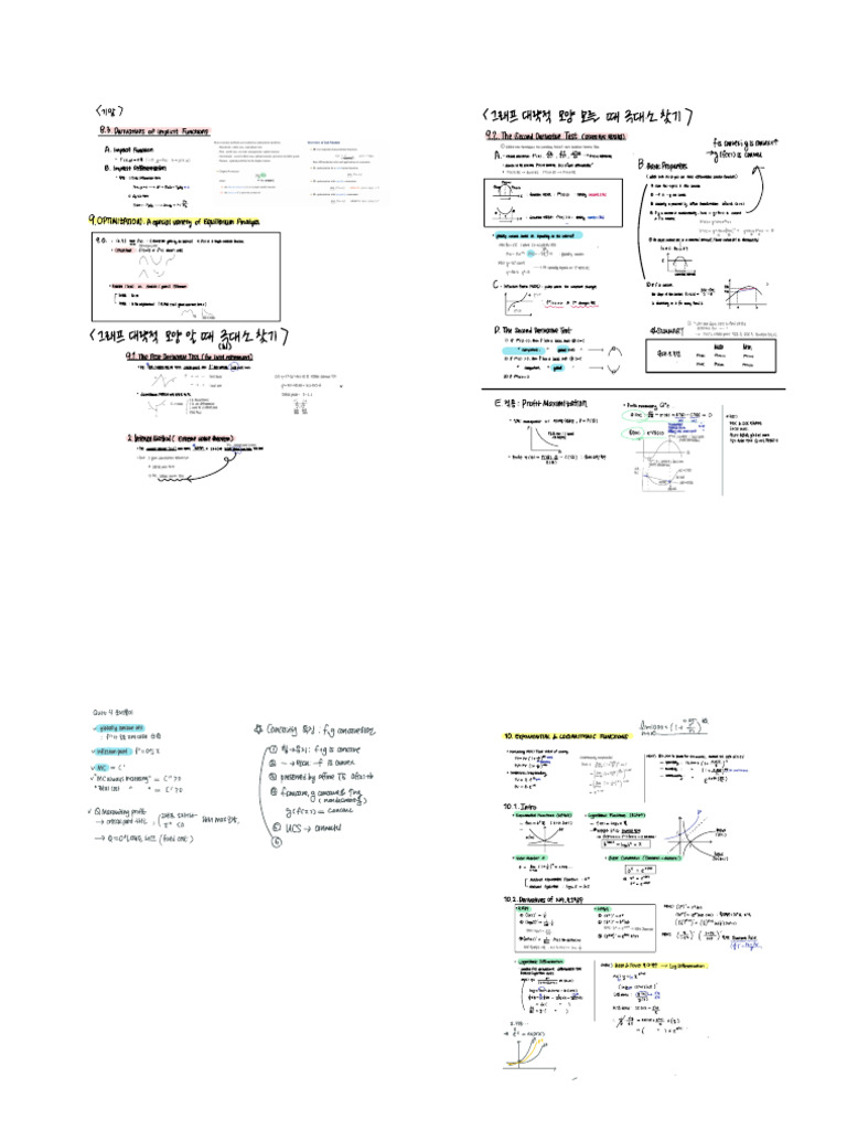 Math Econ - Final Notes | PDF