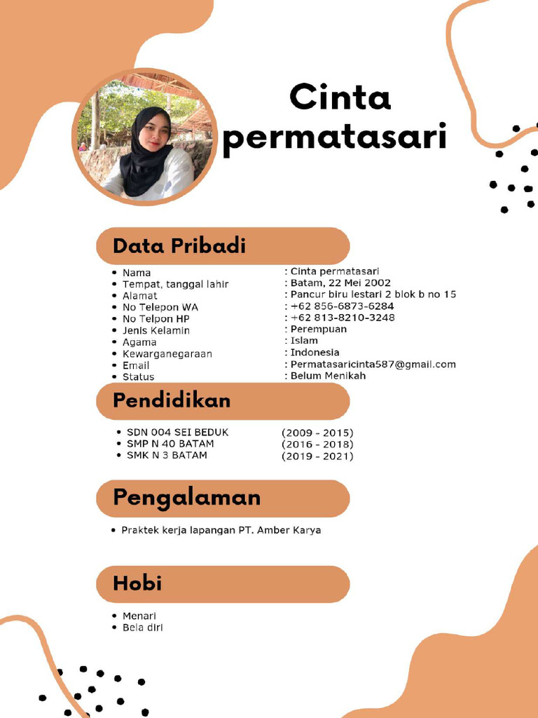 CV 2 Cinta Permtasarii | PDF