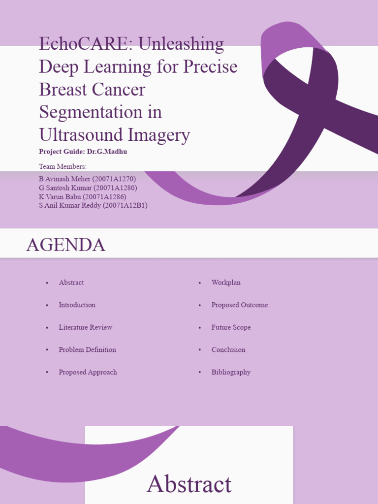 Major Project | PDF | Deep Learning | Image Segmentation