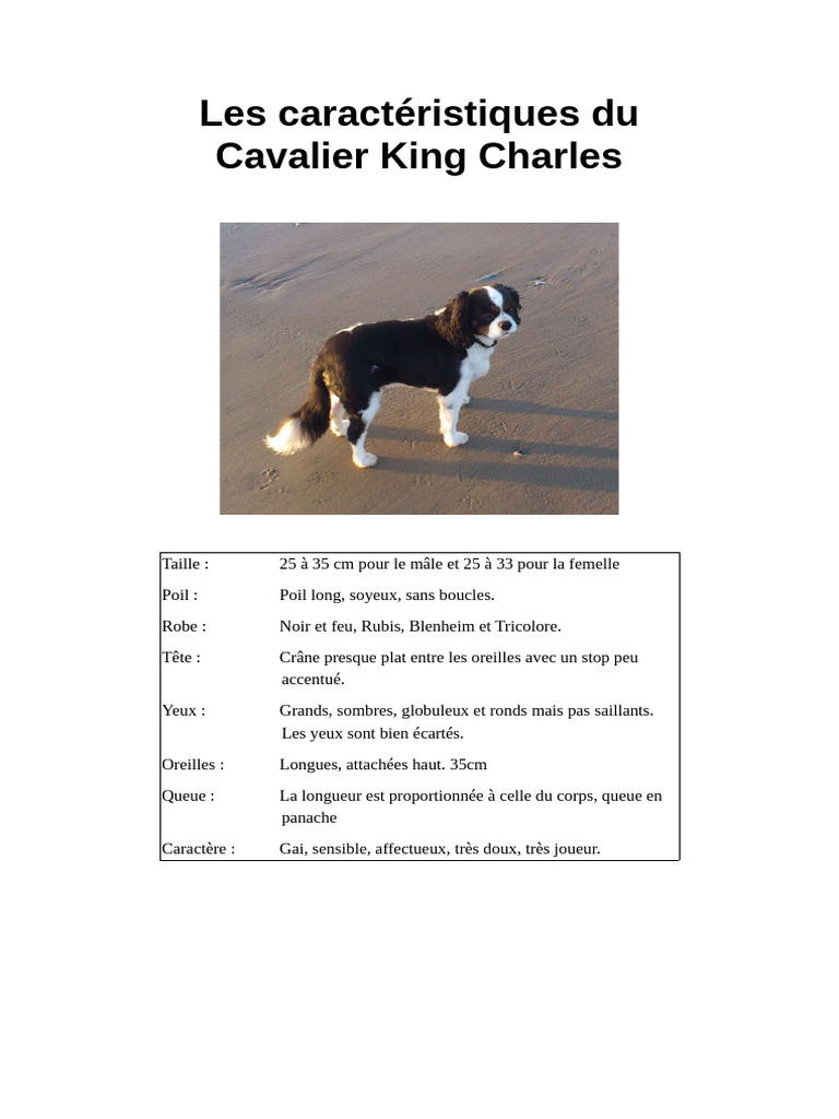 Caractéristiques du Cavalier King Charles | PDF