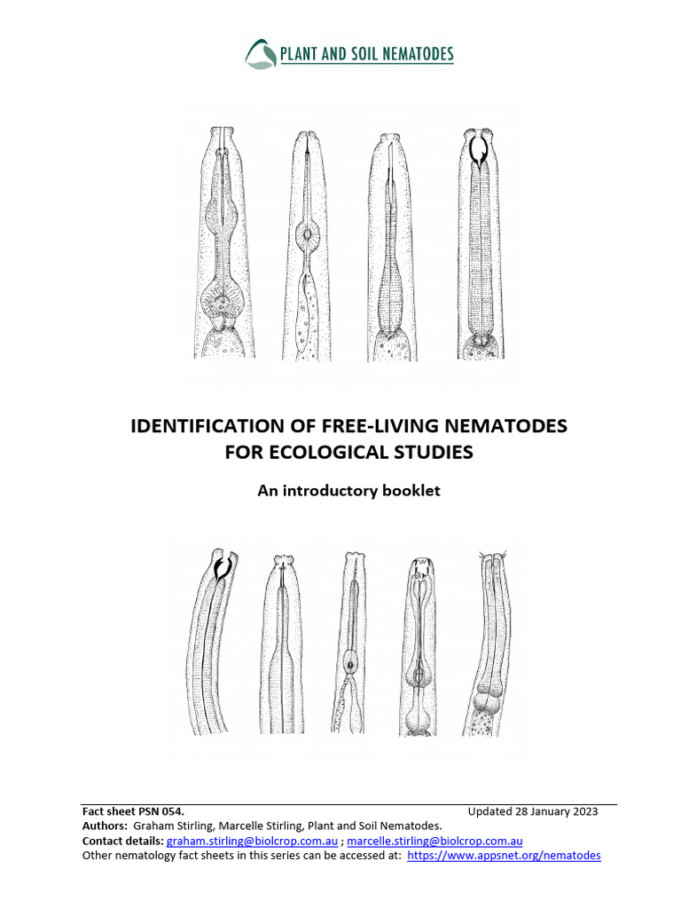 PSN 054 Free-Living Nematode Identification | PDF | Nematode | Ecology