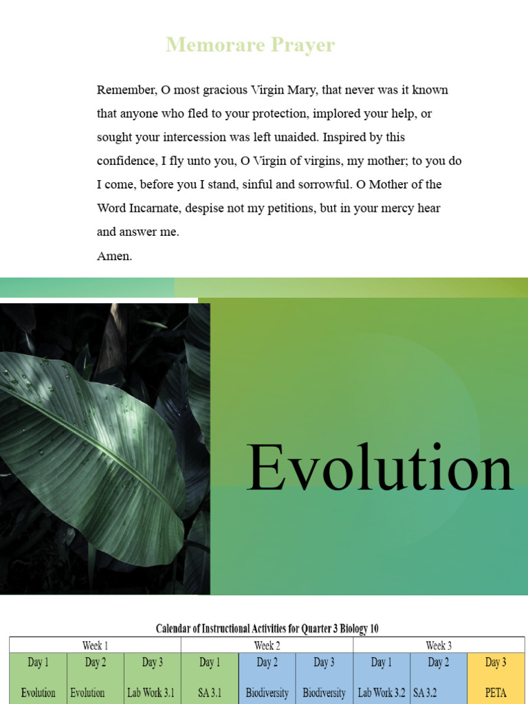 Evolution | PDF | Evolution | Heredity