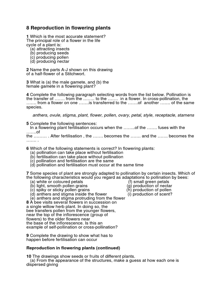 April Holiday Assignment | PDF | Flowers | Pollination