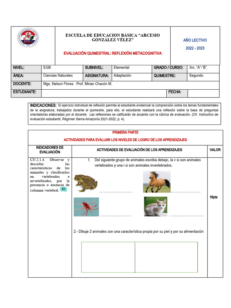 ESCUELA DE EDUCACION BÁSICA Adaptacion CCNN | PDF | Educación primaria | Evaluación