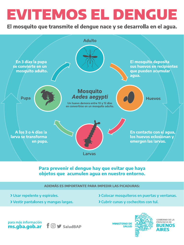 Flyer Dengue | PDF