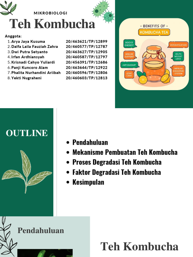 Proses Pembuatan Teh Kombucha | PDF
