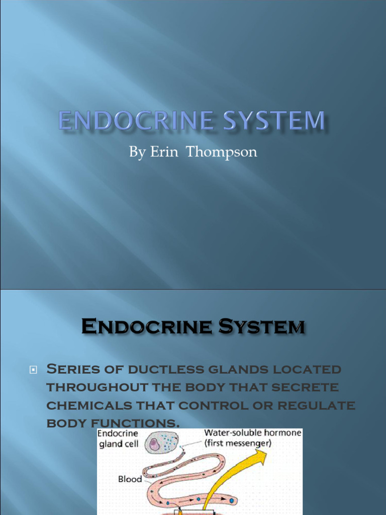 M3 Endocrine system. Updated | PDF | Hormone | Endocrine System