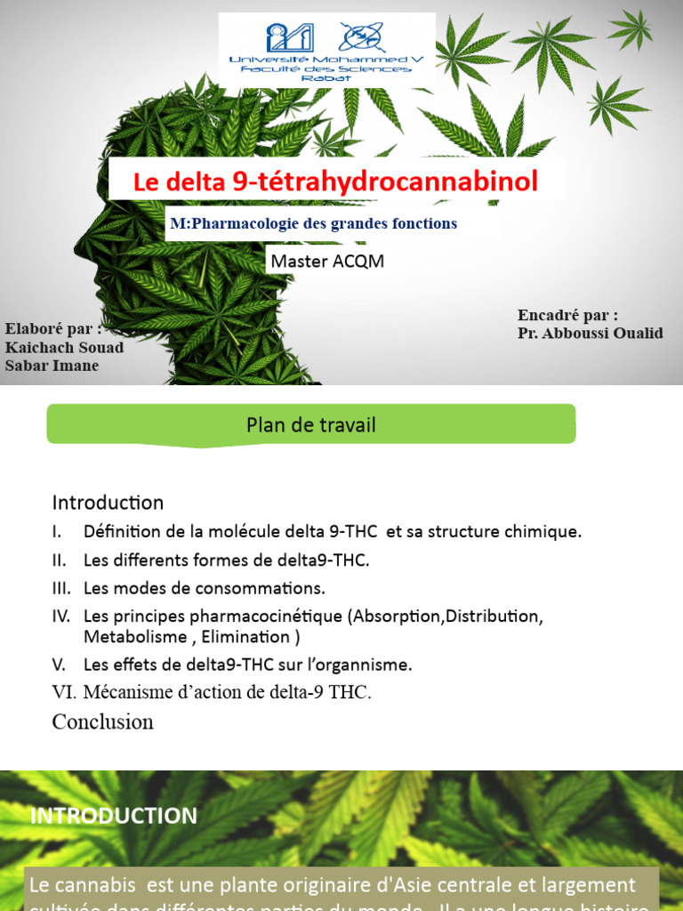 Delta THC | PDF | Cannabis (Drogue) | Tétrahydrocannabinol