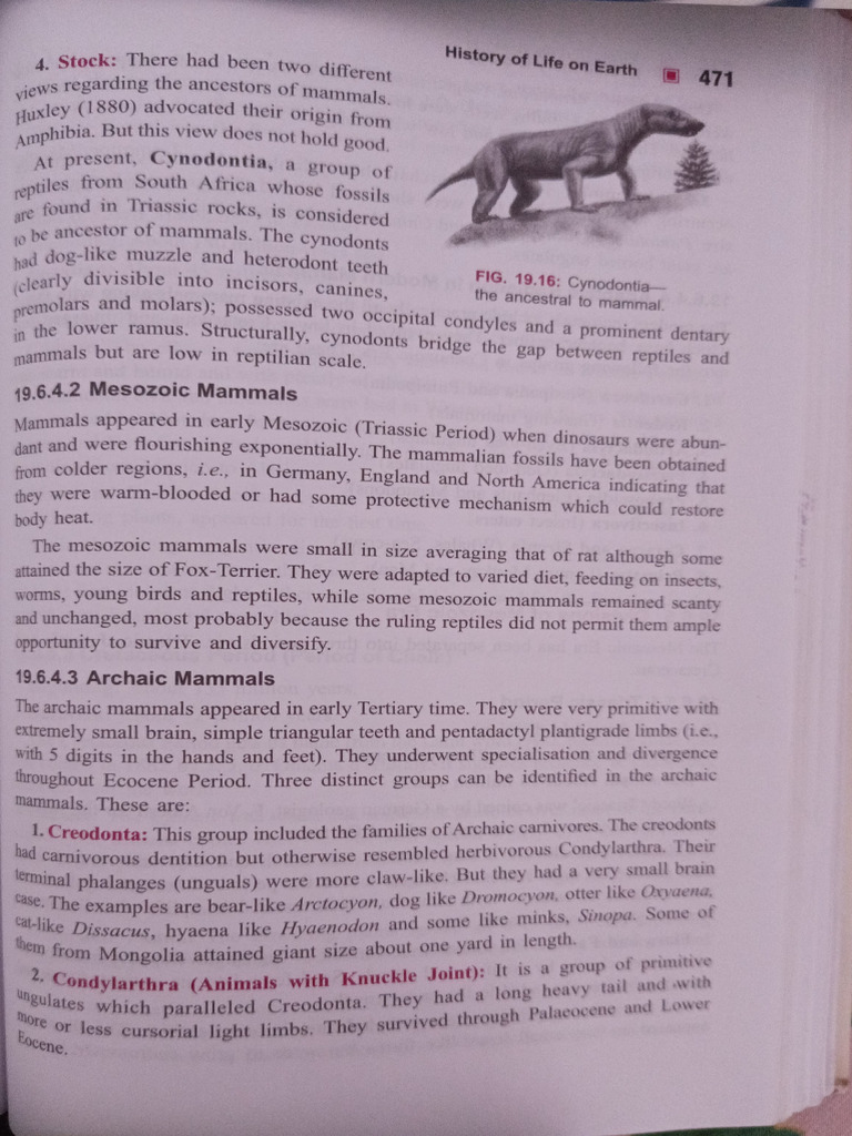 History of Life On Earth 2 | PDF | Mammals | Cretaceous