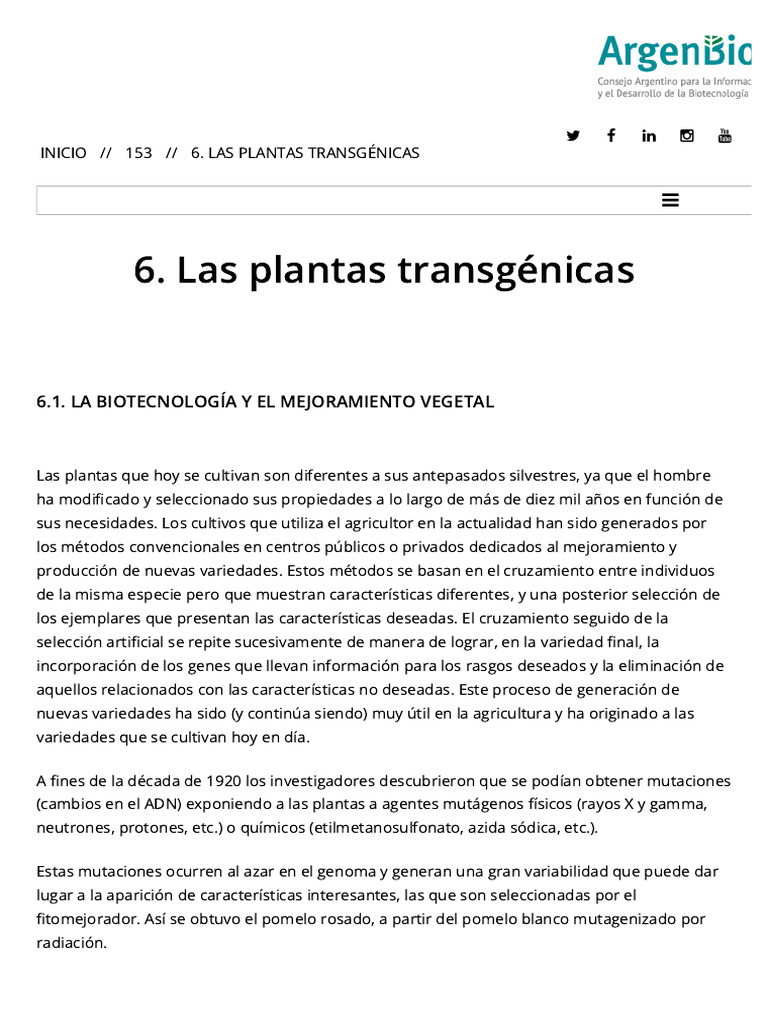6. Las plantas transgénicas | PDF | Fitomejoramiento | Comida ...