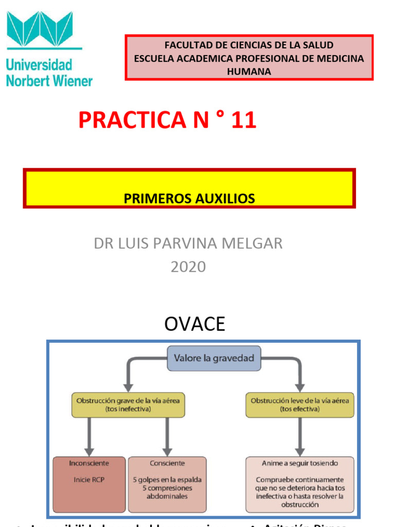 noviembre.primeros_auxilios (1) | PDF | Quemar | Reanimación cardiopulmonar