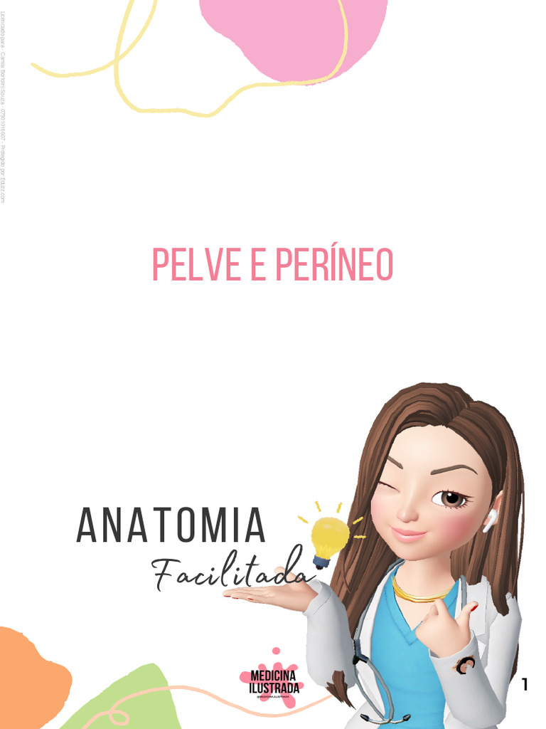 Anatomia da Pelve e Períneo: Guia Completo | PDF | Pélvis | Anatomia