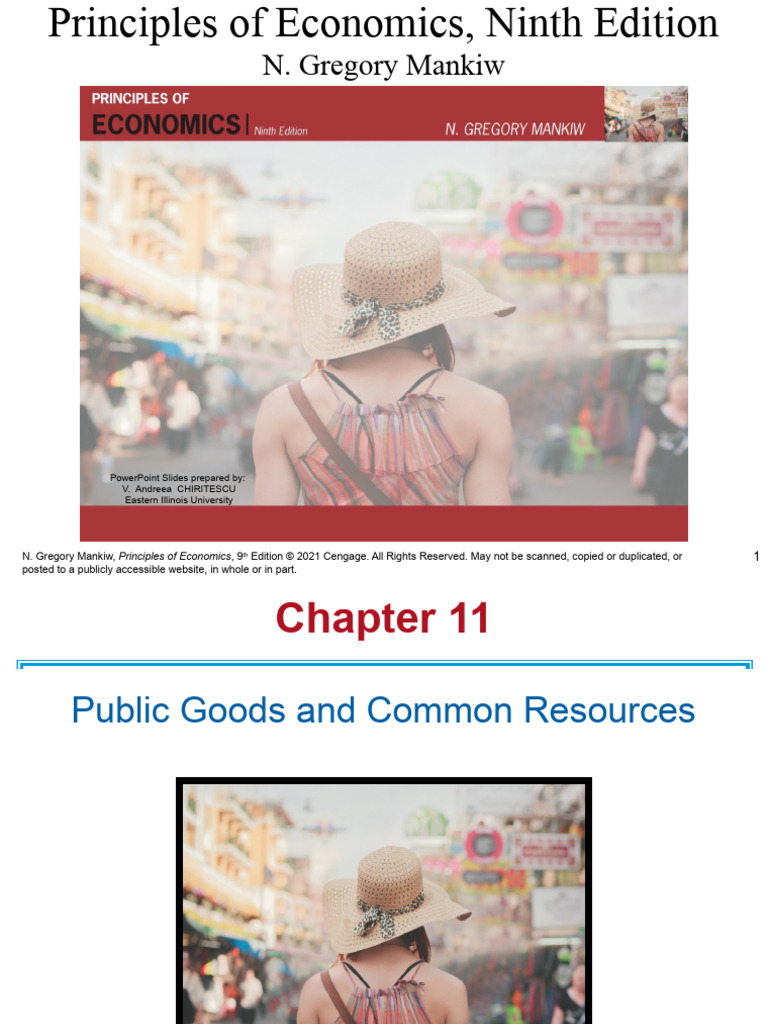 Chapter 11 Public Goods and Common Resources | PDF | Externality ...