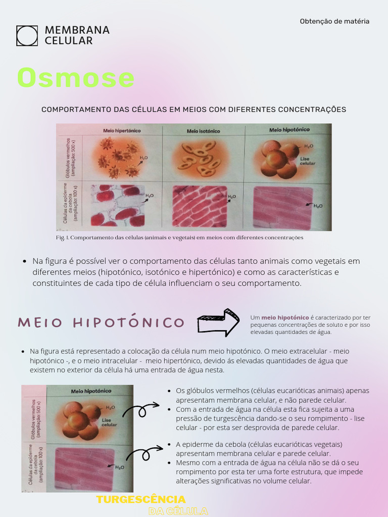 Osmose | PDF | Osmose | Célula (Biologia)