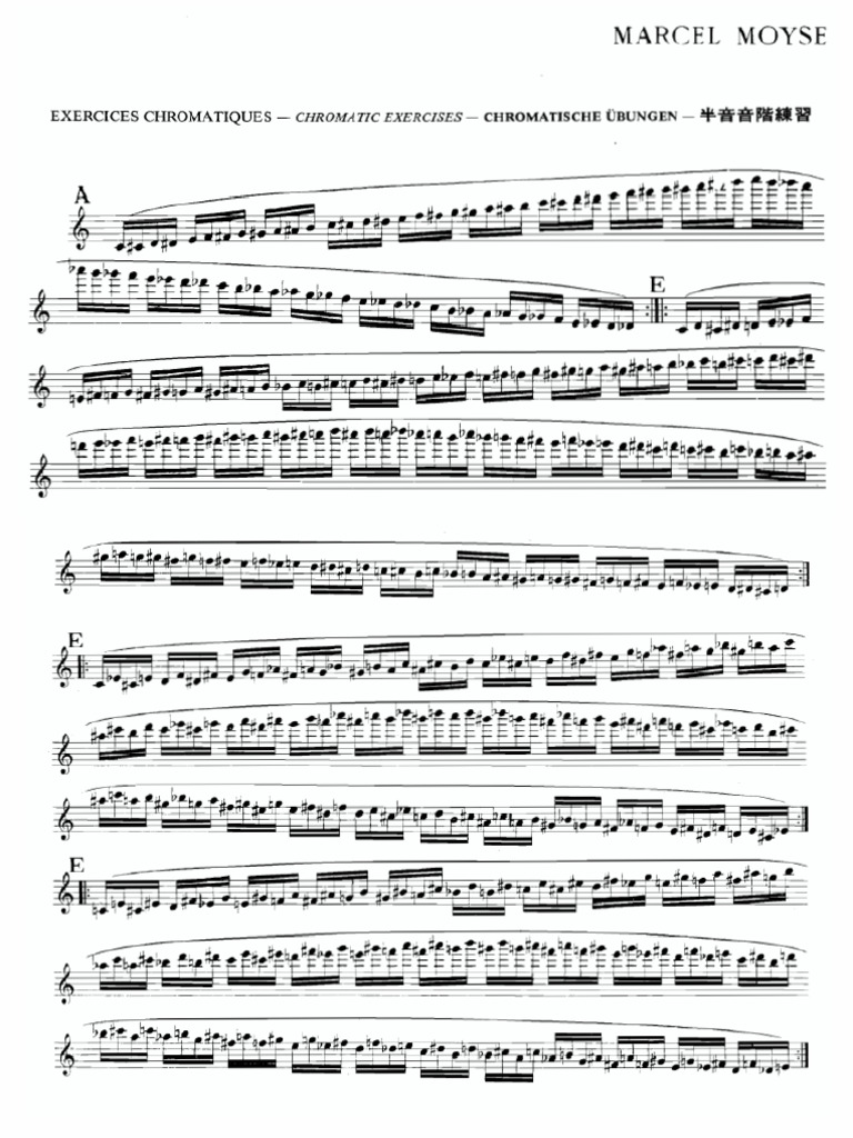 Moyse - Daily Exercises Complete | PDF