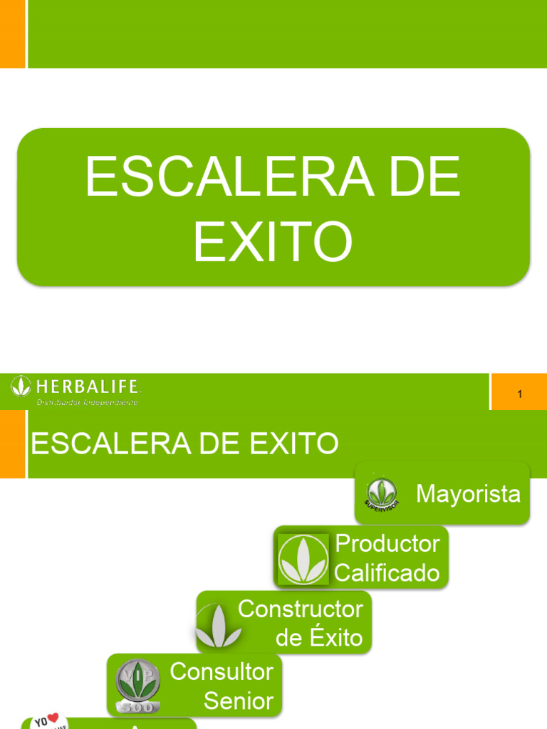 Escalera Del Exito | PDF