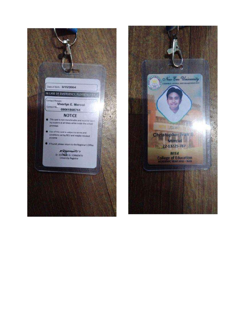 COLLEGE STUDENT ID | PDF