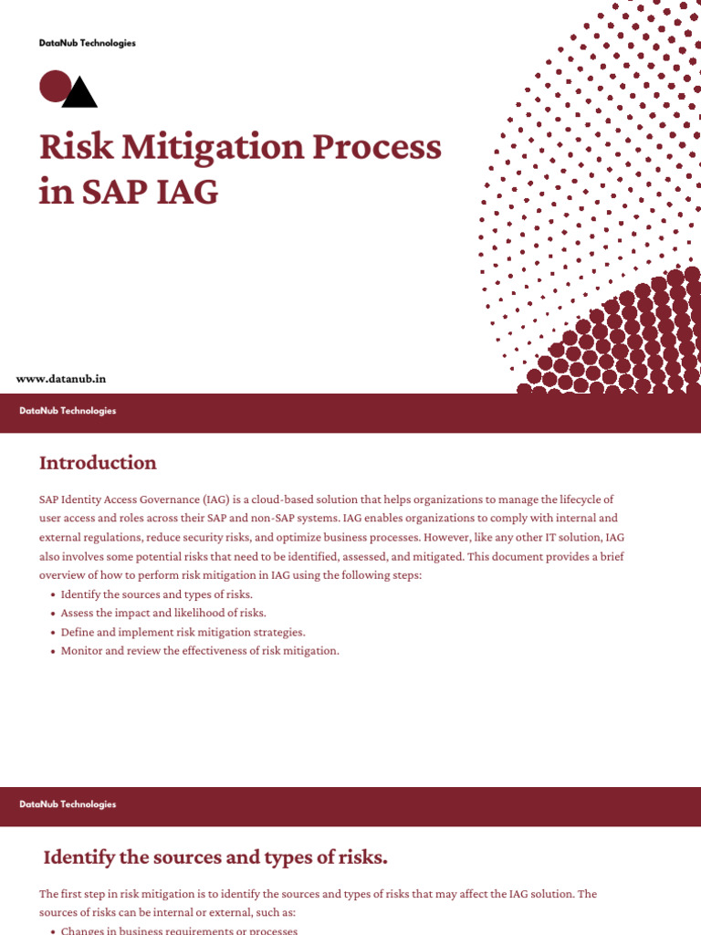 Risk Mitigation Process in SAP IAG 1710210280 | PDF | Risk