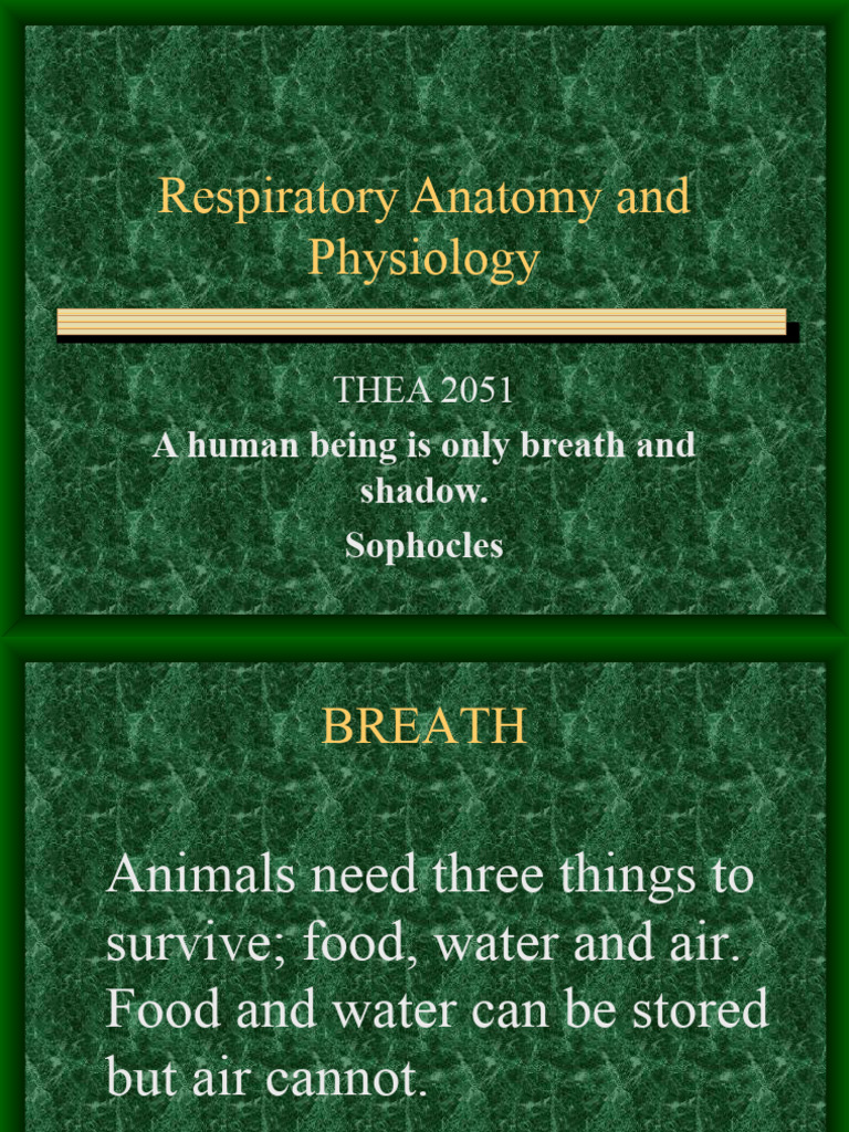 Lesson Two Vocal Anatomy Pdf Lung Thorax