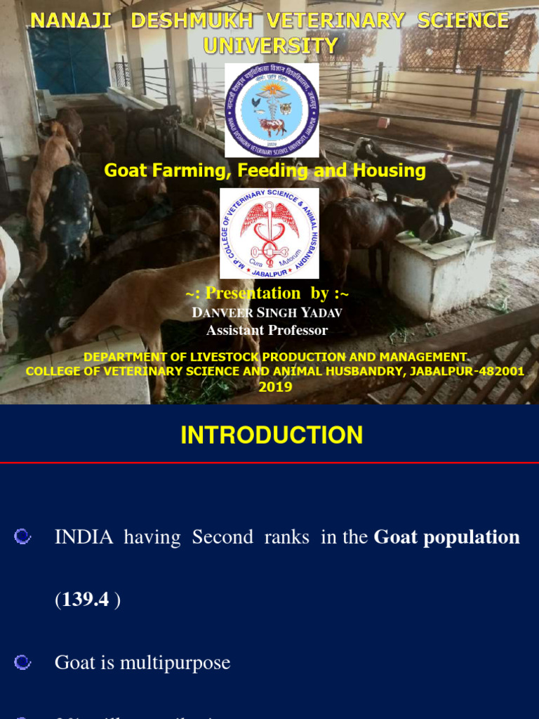 Goat Farming | PDF | Goat | Agriculture