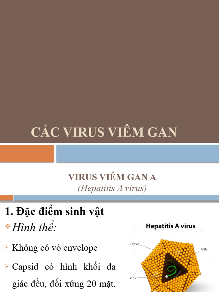 3 VR Viem Gan | PDF