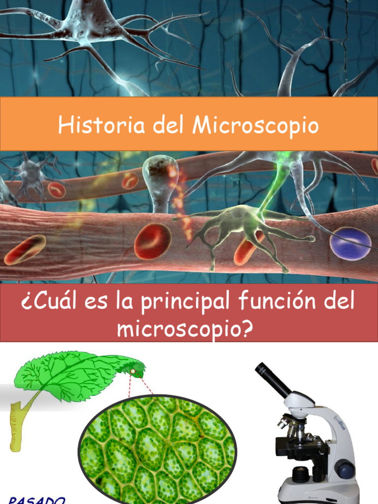 Historia y evolución del microscopio | PDF