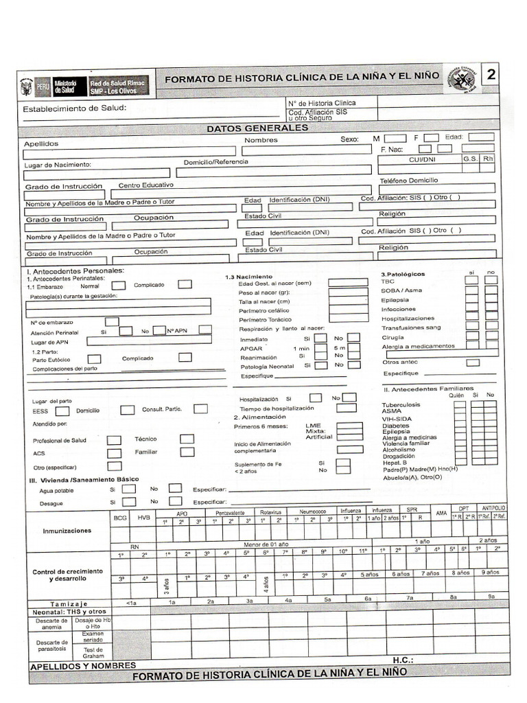 Formato de Atencion Integral 2 | PDF