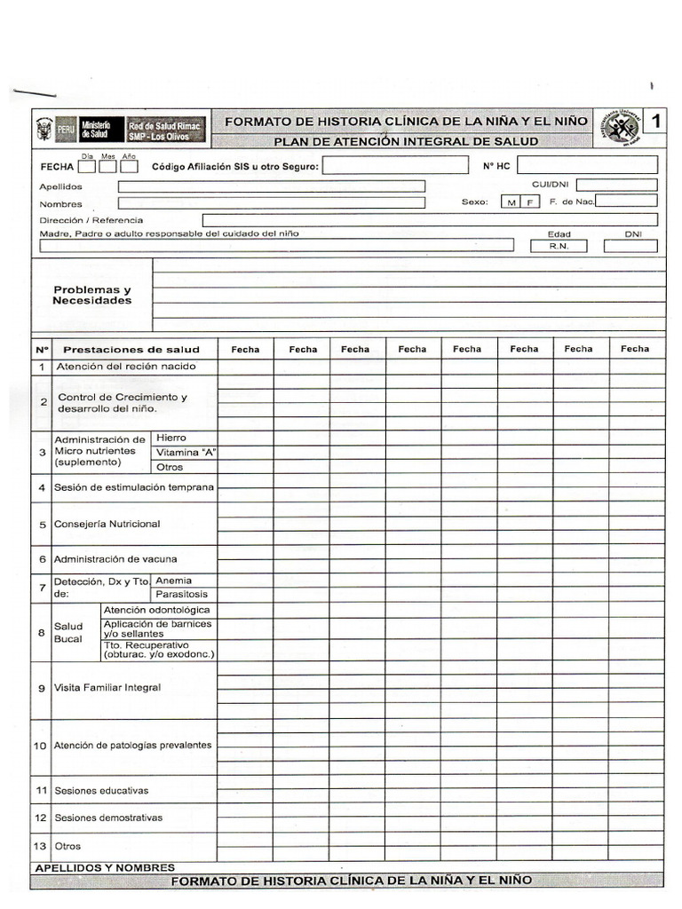 Formato de Atencion Integral 1 | PDF