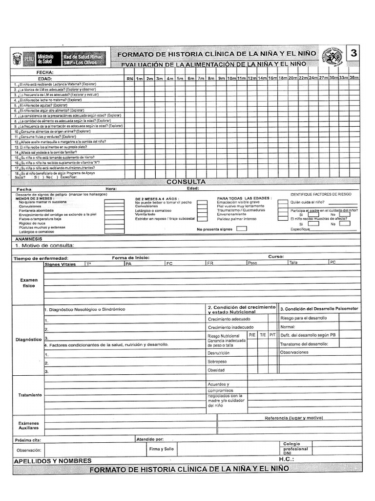 Formato de Atencion Integral 3 | PDF