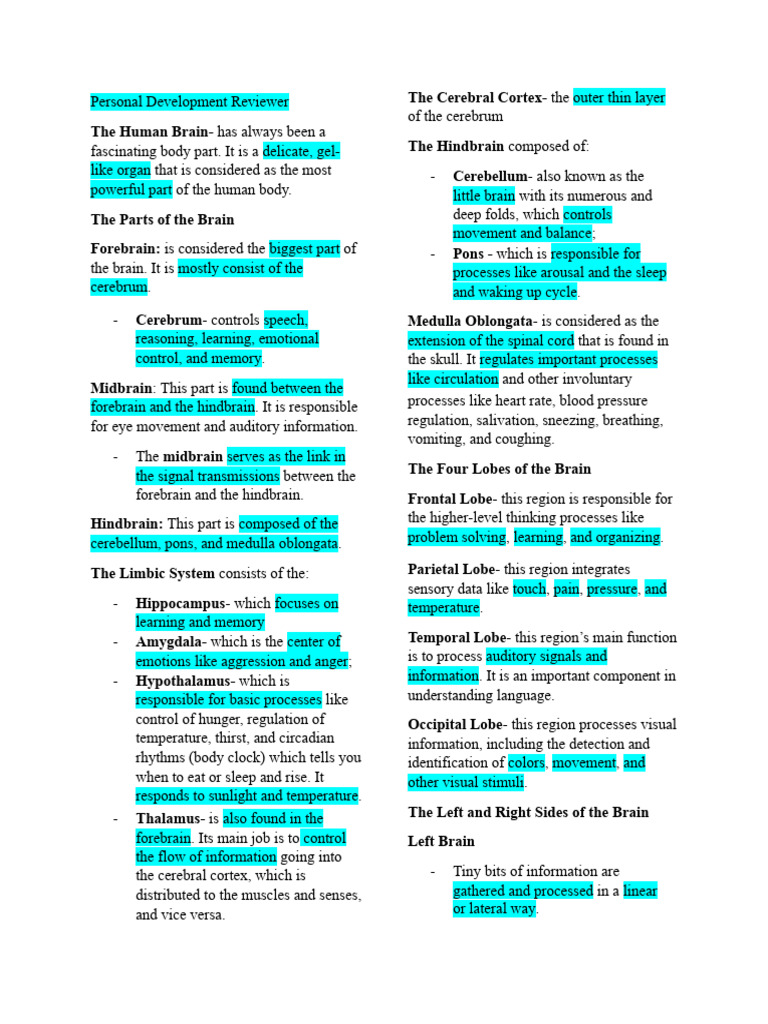Brain Anatomy and Functions Guide | PDF | Brain | Cerebrum