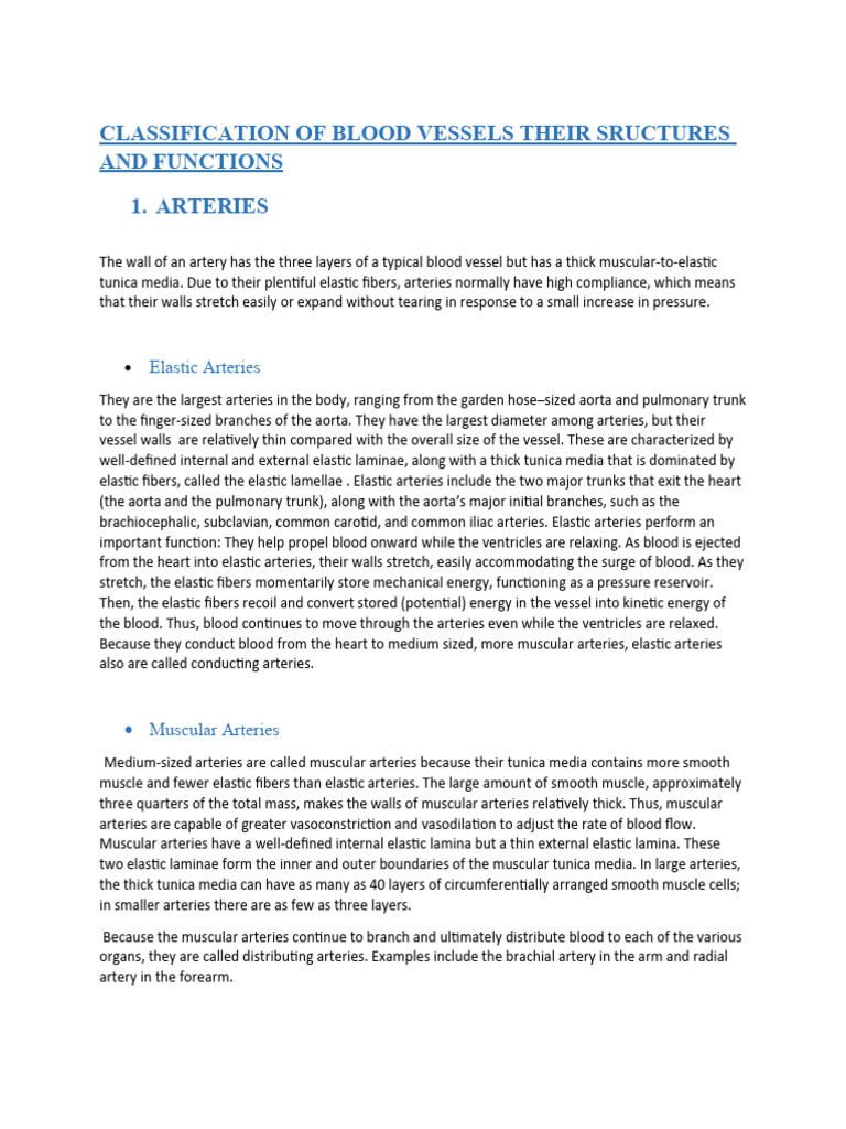 Classification of Blood Vessels | Download Free PDF | Vein | Artery