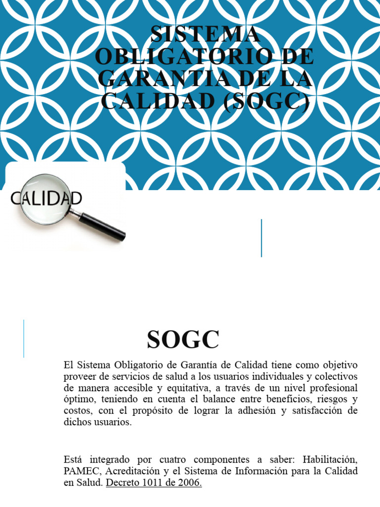Sistema Obligatorio de Garantía de Calidad | PDF | Auditoría ...