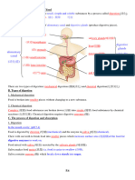 Digestive System - The Dr. Binocs Show - Learn Videos For Kids | PDF