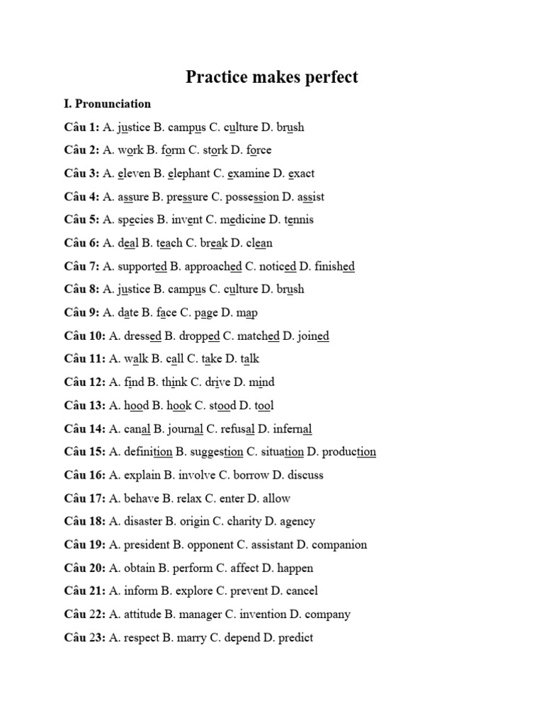 Practice Makes Perfect | PDF