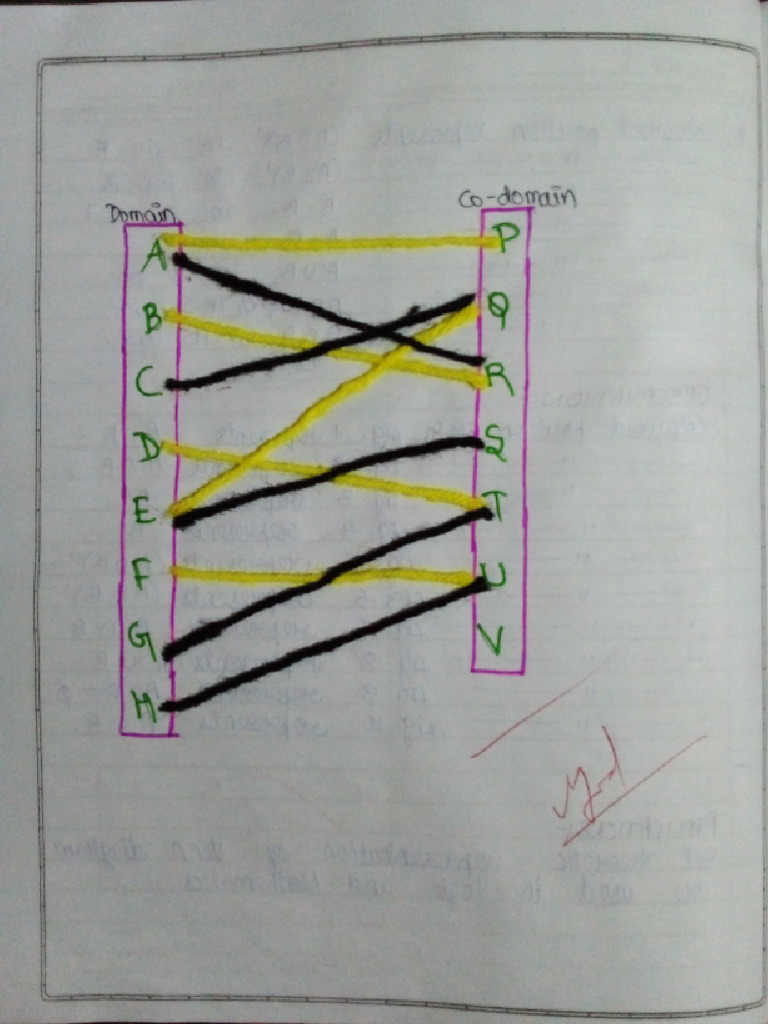 Activity 2 Class Xi | PDF