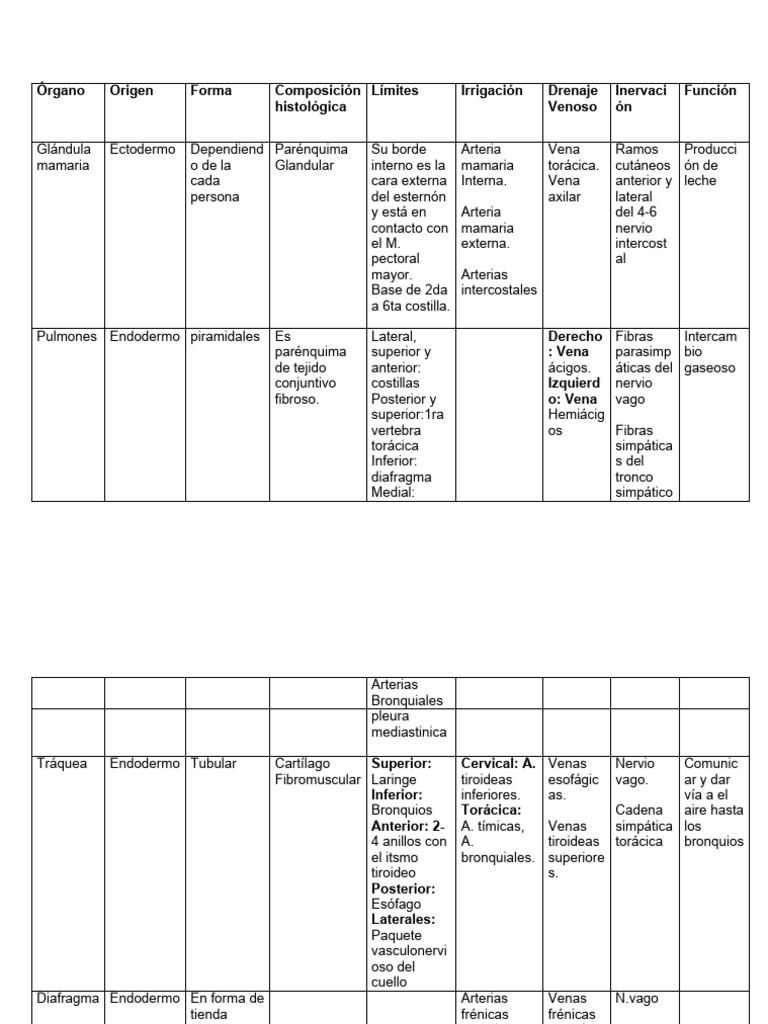 Tabla de Organos-1-1 | PDF | Intestino grueso | Estómago