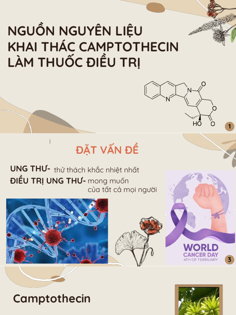 Camptothecin | PDF