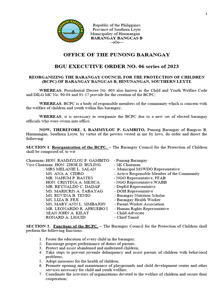 Bgu Executive Order No. 06 S. 2023 BCPC | PDF | Child Protection | Childhood