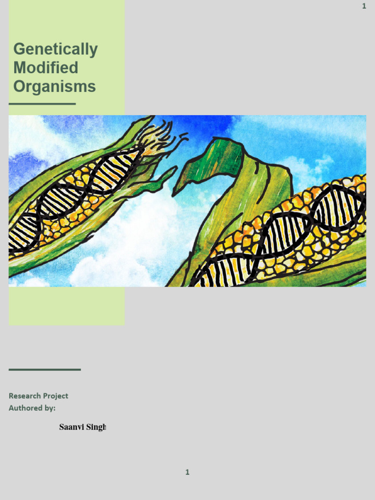 Research Paper - GMOs | PDF | Genetically Modified Organism | Genetic ...