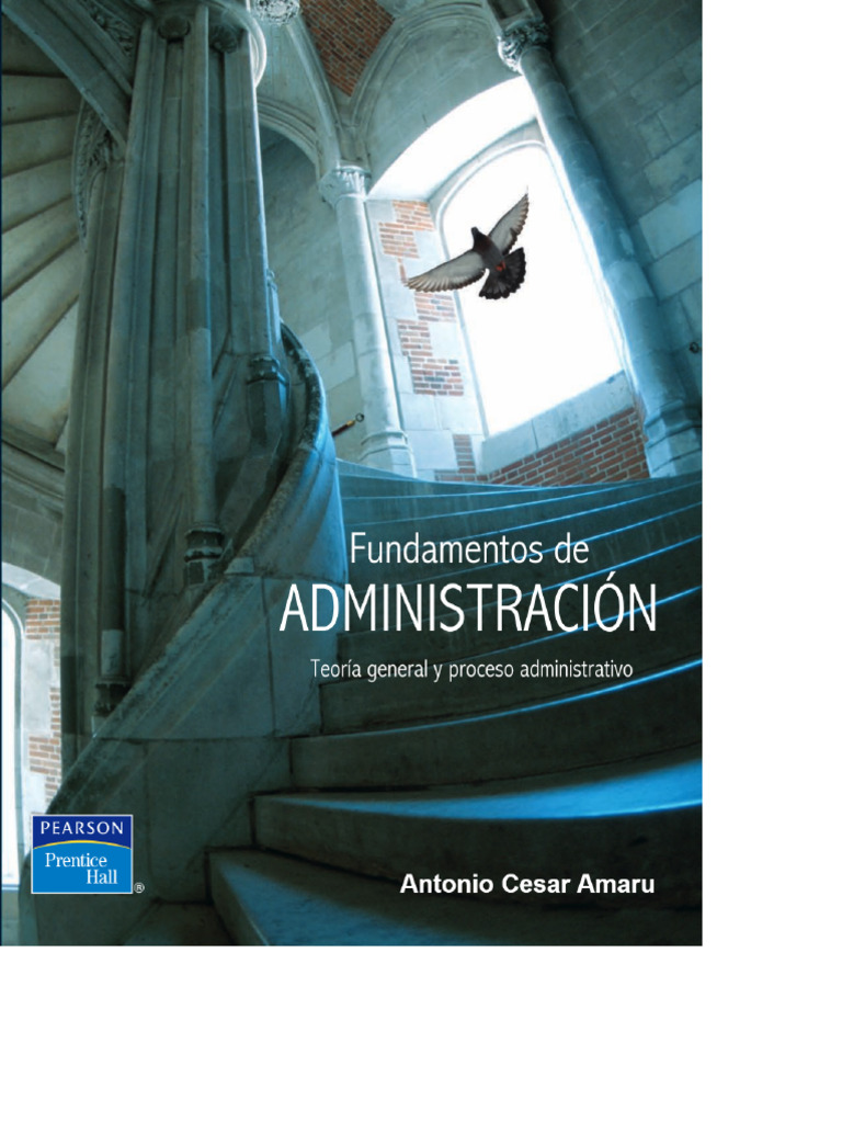Fundamentos Admon | PDF