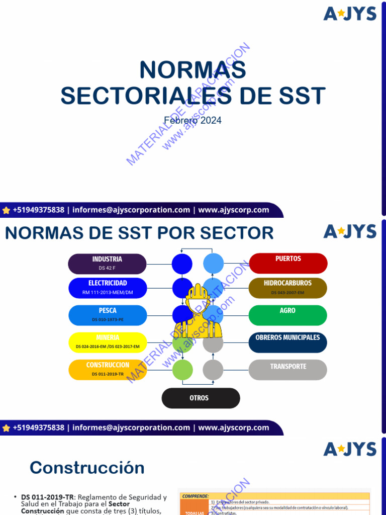 Normas de SST por Sector en Perú 2024 | PDF | Póliza de seguros ...