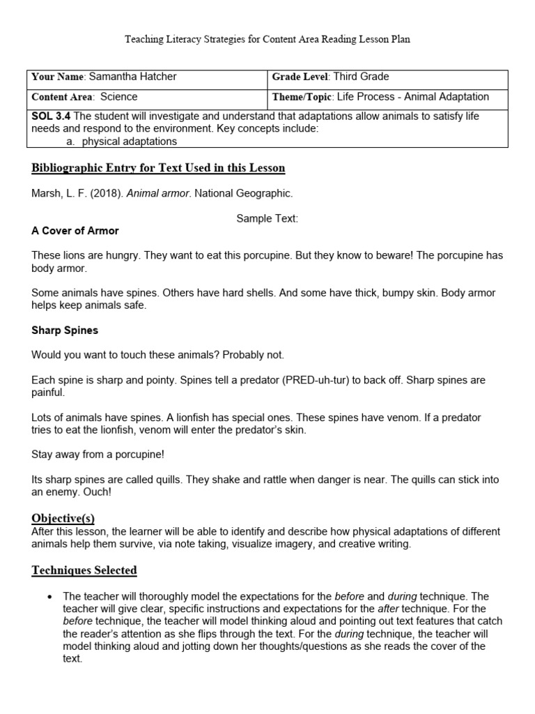 annotated-bda 20lesson 20plan 20format 20- 20hatcher | PDF | Teachers | Books