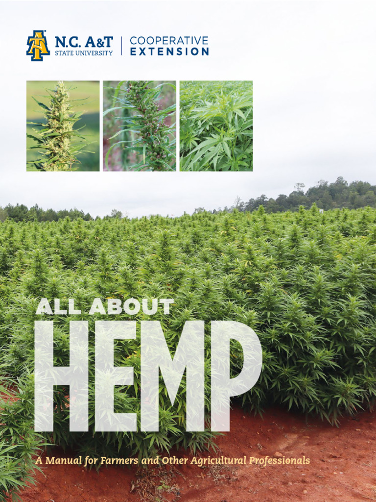 Tudo Sobre Hemp | PDF | Hemp | Cannabis