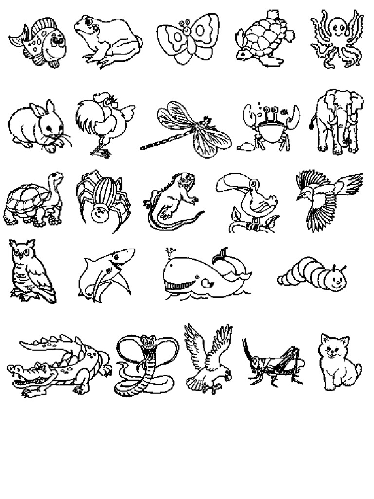 Animales acuáticos, terrestres y aéreos | PDF